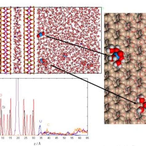 Results Of A Large Scale Molecular Dynamics Simulation Of The Sorption