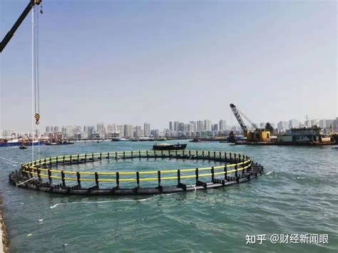 寻渔记｜专业为你解说深海新型网箱，带你全方面认识水产高产巨无霸 知乎