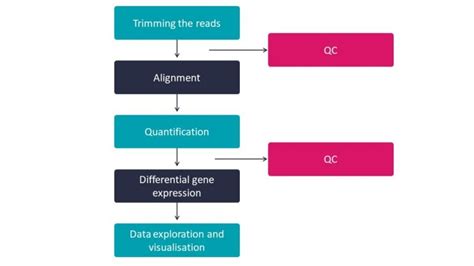 How To Tackle Large Scale Ngs Data Processing With Software Solutions
