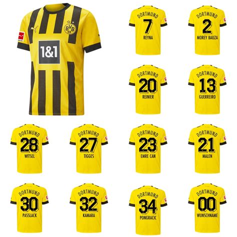 Borussia Dortmund Players 2022