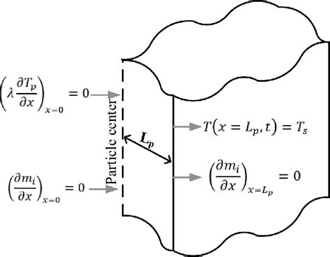 schematic representation of a particle with the boundary conditions