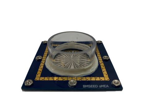 In Vitro Models Tbi And Spi Research — Stretchable Microelectrode Arrays For In Vitro