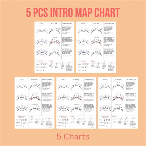Bellemory Lash Sponge And Mapping Charts Bellemory Store Lashes