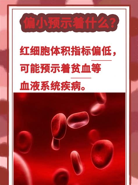 红细胞体积分布宽度偏低，你的血液在“说”什么？ 家庭医生在线家庭医生在线首页频道