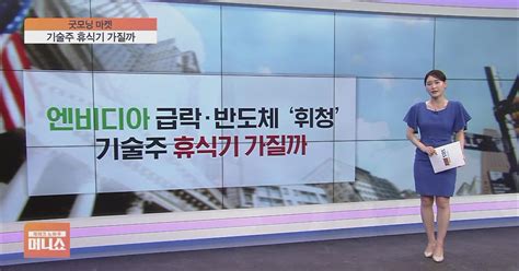 굿모닝 마켓 엔비디아는 급락 반도체도 휘청기술주 휴식기 가질까