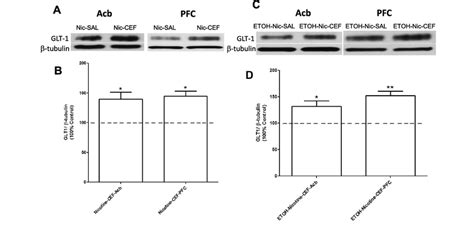 A Effects Of Ceftriaxone On Glt 1 Expression Glt 1b Tubulin Of