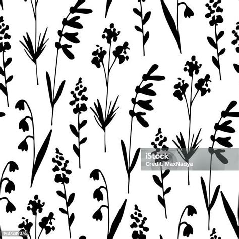 검은색 윤곽선에 간단한 꽃 벡터 그리기 야생 초원 꽃의 검은 실루엣 흰색 바탕에 허브 직물 직물 포장의 인쇄용 0명에 대한 스톡 벡터 아트 및 기타 이미지 Istock