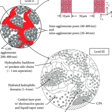 Hierarchical Structure For Catalyst Layer System Download Scientific Diagram