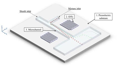 Schematic Illustration Of The Proposed Hybrid Microfluidic Device For Download Scientific