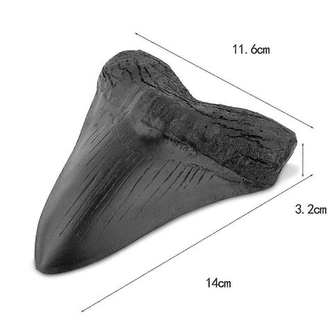 Hars Megalodon Tand Fossiel Giant Tand Megalodon Tand Replica