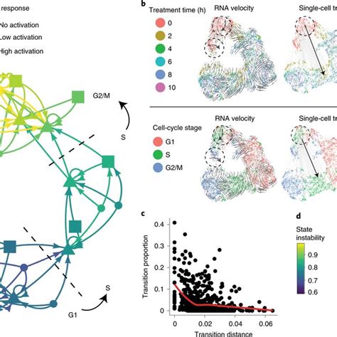 Inferring Single Cell Transcriptional Dynamics With Sci Fate A
