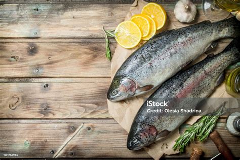레몬 조각과 향기로운 로즈마리와 오래 된 종이에 원시 바다 물고기 연어 건강한 생활방식에 대한 스톡 사진 및 기타 이미지 건강한 생활방식 건강한 식생활 고기 Istock