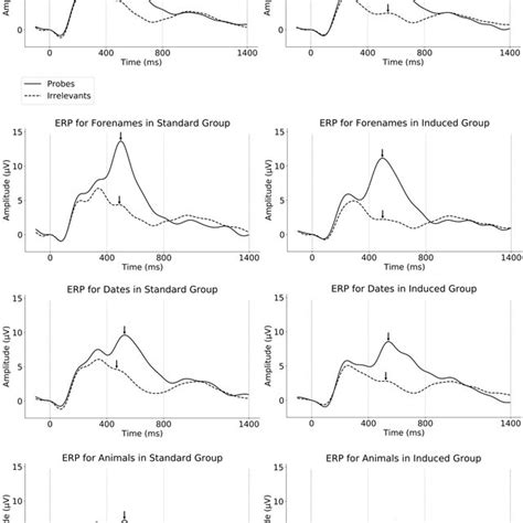 Grand Average Event Related Brain Potential Erp Waveforms Registered Download Scientific