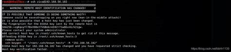 小白学习ctf第十一天 web安全提权 ctf mv提权 csdn博客