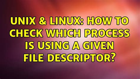 Unix And Linux How To Check Which Process Is Using A Given File Descriptor 3 Solutions Youtube