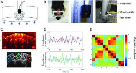 Fus In A Conscious Mouse A Schematic Depiction Of The Experimental