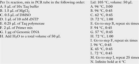 pcr amplification of parp1 amplicon form genomic dna preparation of pcr