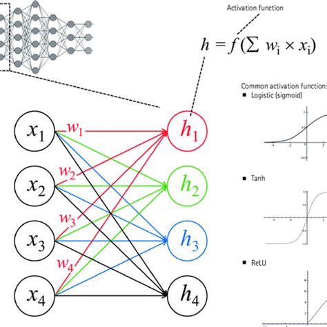 A Feed Forward Neural Network Download Scientific Diagram