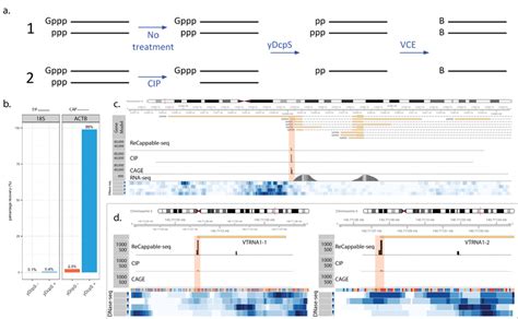 recappable seq a principle of recappable seq enrichment of primary
