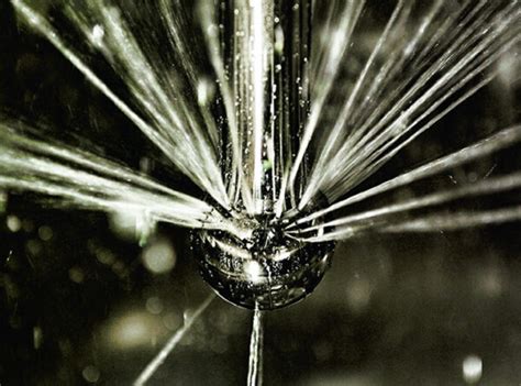 What Is Cip And Sip System Aipak