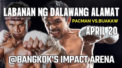 Suntukan Ng Dalawang Alamat Pacman Vs Buakaw Youtube
