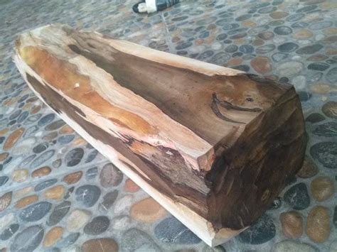 Kayu Timoho Mitos Manfaat Dan Ciri Cirinya Corak Kayunya Bernilai Tinggi Indo1