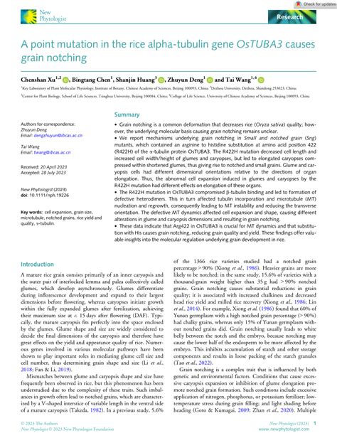 Pdf A Point Mutation In The Rice Alpha Tubulin Gene Ostuba3 Causes Grain Notching