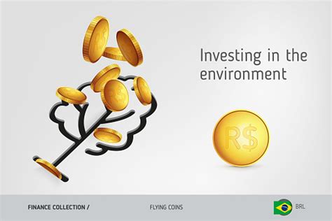 브라질 진짜 동전 금융 개념 비행 트리 아이콘 인쇄 웹 사이트 웹 디자인 모바일 애플 리 케이 션 인포 그래픽에 대 한 벡터 일러스트 0명에 대한 스톡 벡터 아트 및 기타