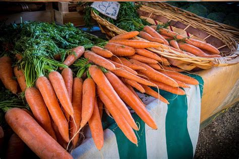 29 Facts About Beta Carotene