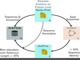 Nucleic Acid And Protein Databanks PPTX