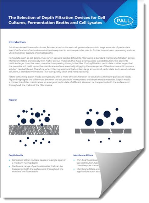 Are You Using The Right Depth Filtration Device Lab Manager