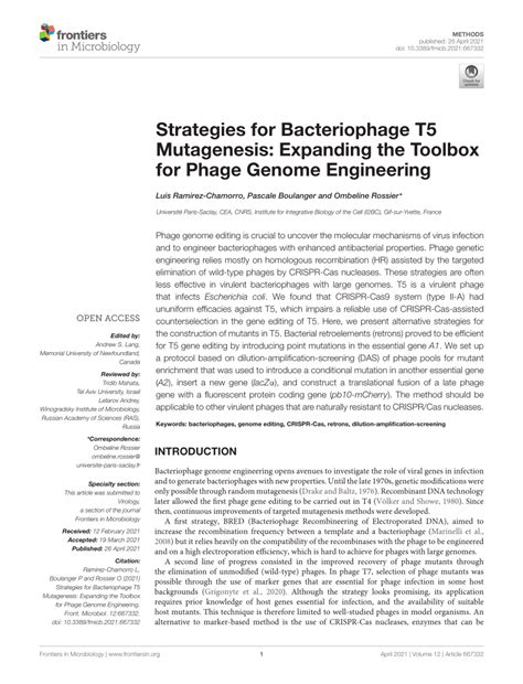 Pdf Strategies For Bacteriophage T5 Mutagenesis Expanding The Toolbox For Phage Genome