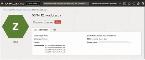 host public reverse dns zones in oracle cloud infrastructure domain