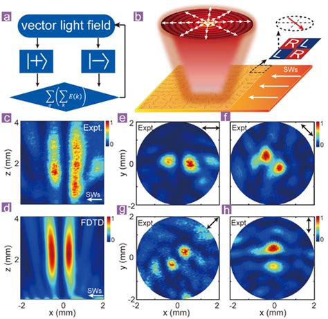 Radially Polarized Light Visualized Axial Localization Of