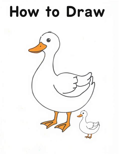 How To Draw Duck Easy Step By Step Guide To Duck Drawing Trying Drawing