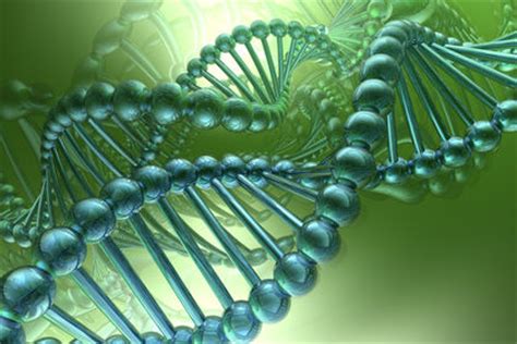 DNA Biology Encyclopedia Cells Body Function Human Organisms