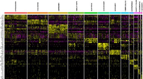Figure 3 From Single Cell Transcriptome Analysis Identifies Subclusters