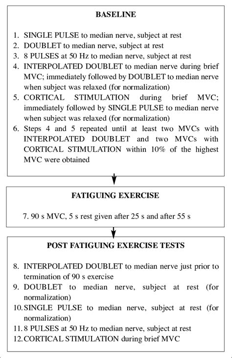 The Test Protocol See Text For Full Explanation Download Scientific