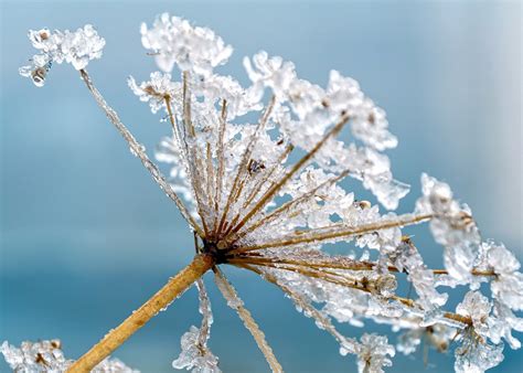 Гороскоп для знаків зодіаку на 3 грудня 2024 року