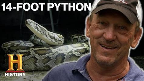 Swamp People Serpent Invasion SNAKES CAUGHT In Python Hunting Competition Season