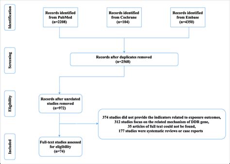 Flow Diagram Of Literature Search Strategy For The Meta Analysis Download Scientific Diagram