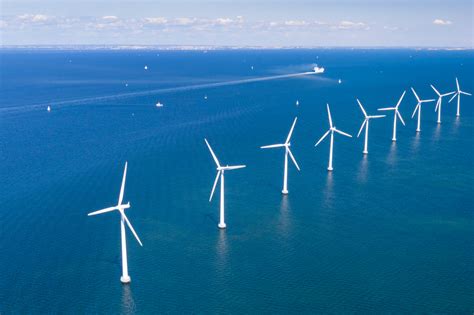 Offshore Wind Farms New Paper Reveals Global Impacts On Biodiversity