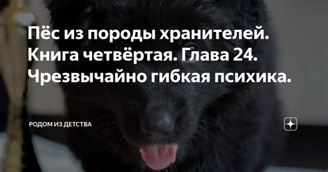 Пёс из породы хранителей. Книга четвёртая. Глава 24. Чрезвычайно гибкая ...
