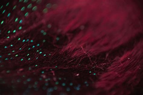 무료 이미지 빛 꽃 빨간 색깔 어둠 원 매크로 사진 5184x3456 70623 무료 이미지 Pxhere