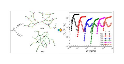 Synthesis Of Structure Controlled Polyborosiloxanes And Investigation On Their Viscoelastic