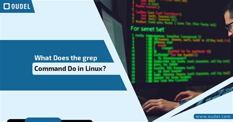 What Does The Grep Command Do In Linux Step By Step Guide