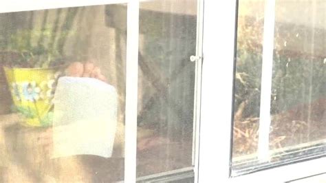 Dlac And Bar ThisVid Com