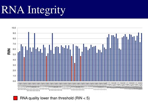 Ppt Life Or Cell Death Deciphering C Myc Regulated Gene Networks In Two Distinct Tissues