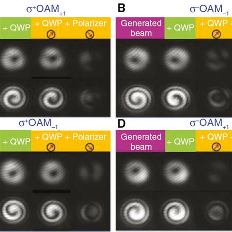Intensity Polarization Phase And Interferogram Of The σ±oam±1 A