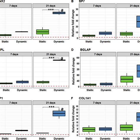 Boxplots Of Osteogenic Gene Expression Analysis For Runx2 A Sp7 B